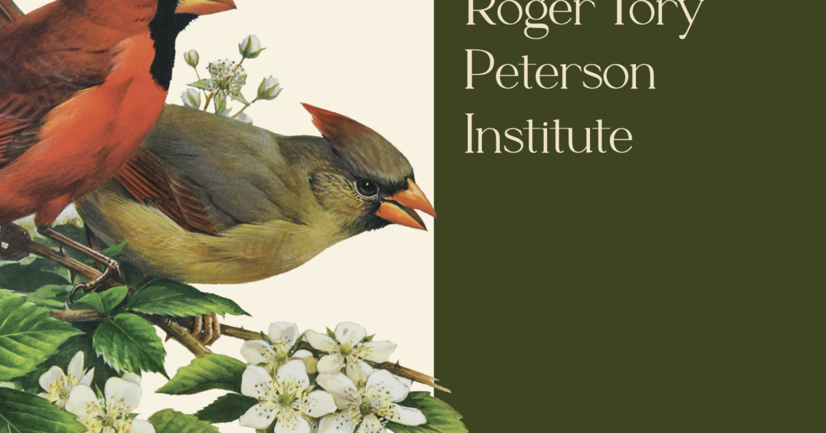 RTPI Rising: A Bold, New Strategic Vision | Roger Tory Peterson Institute