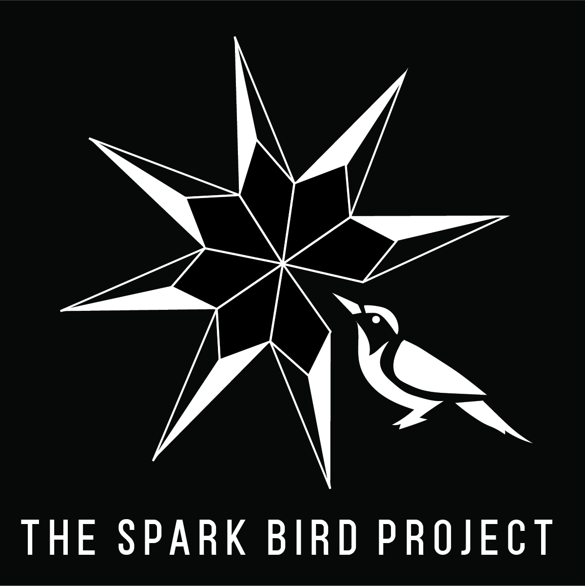What’s your spark bird? | Roger Tory Peterson Institute