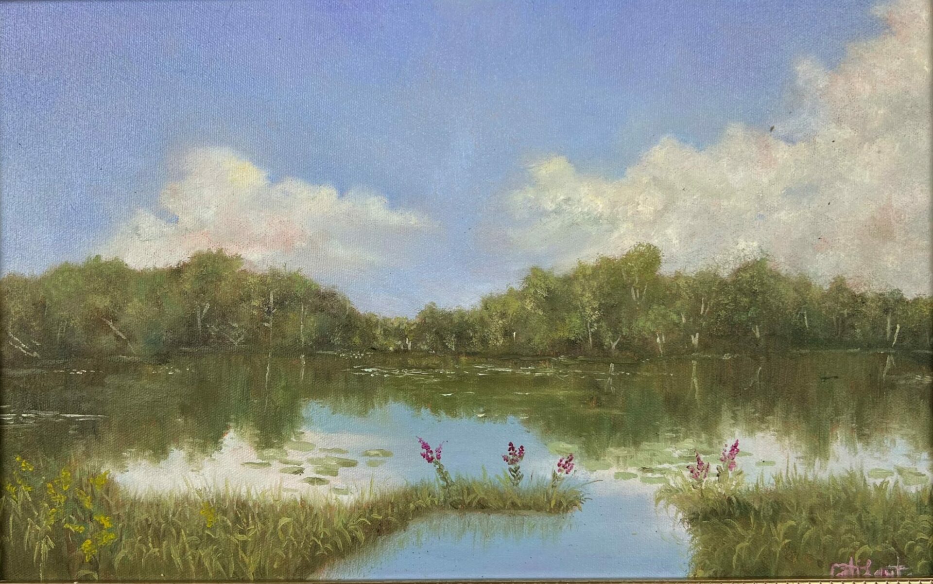 Exhibitions | Roger Tory Peterson Institute