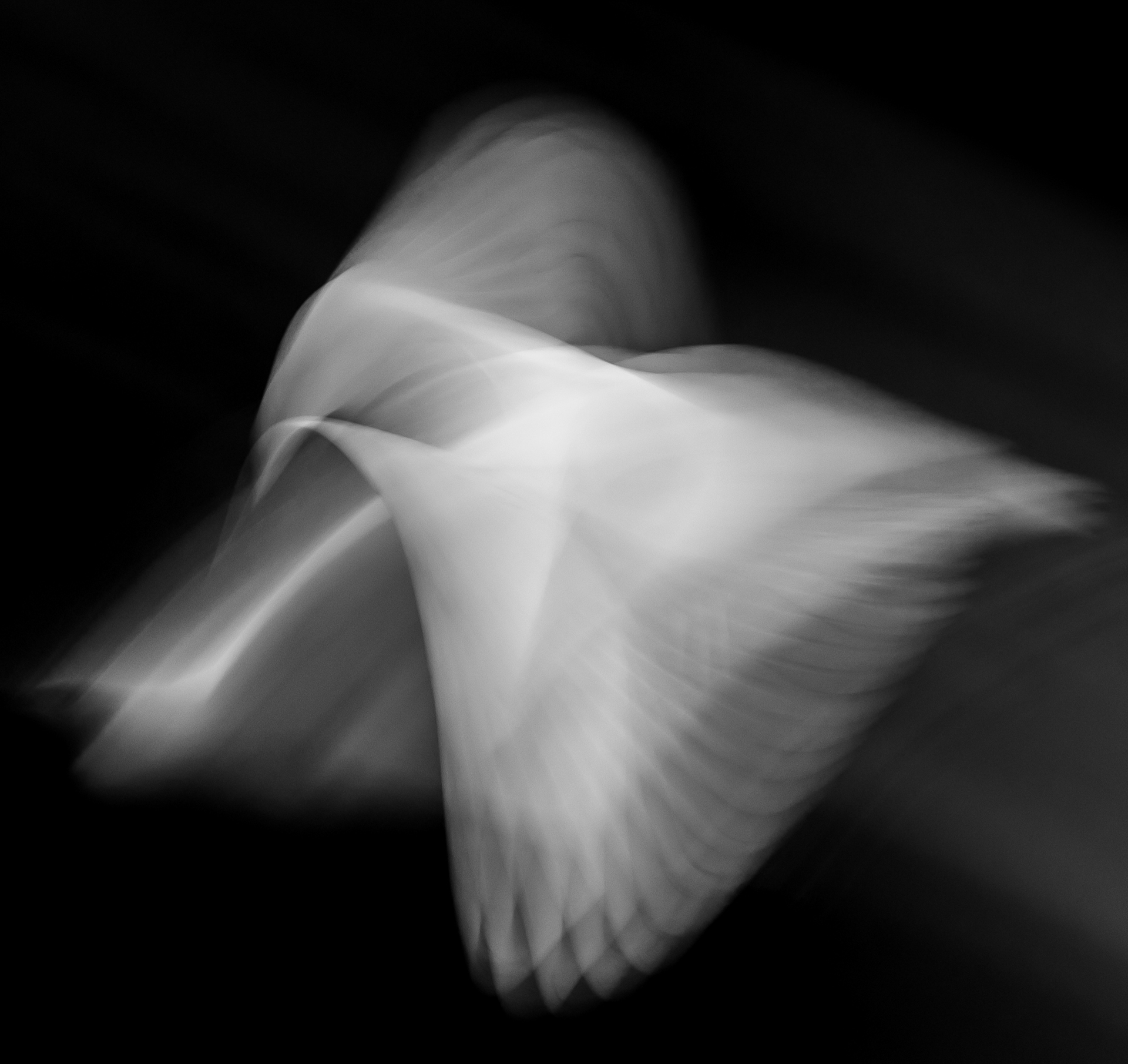 David Cook: Evolution and Inspiration of a Nature Photographer | Roger ...