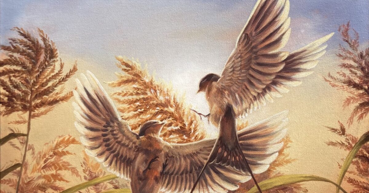 Taking Flight: Artist Talk with Joseph Grice | Roger Tory Peterson ...