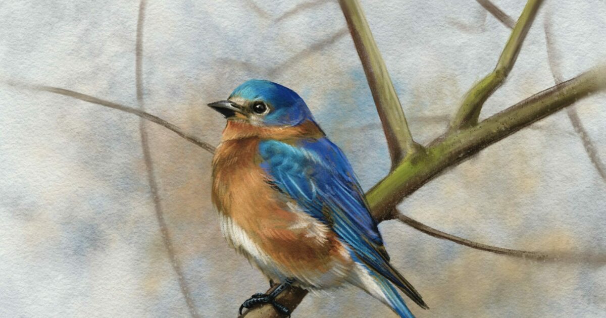 North Shore Arts Alliance Show and Sale at RTPI | Roger Tory Peterson ...