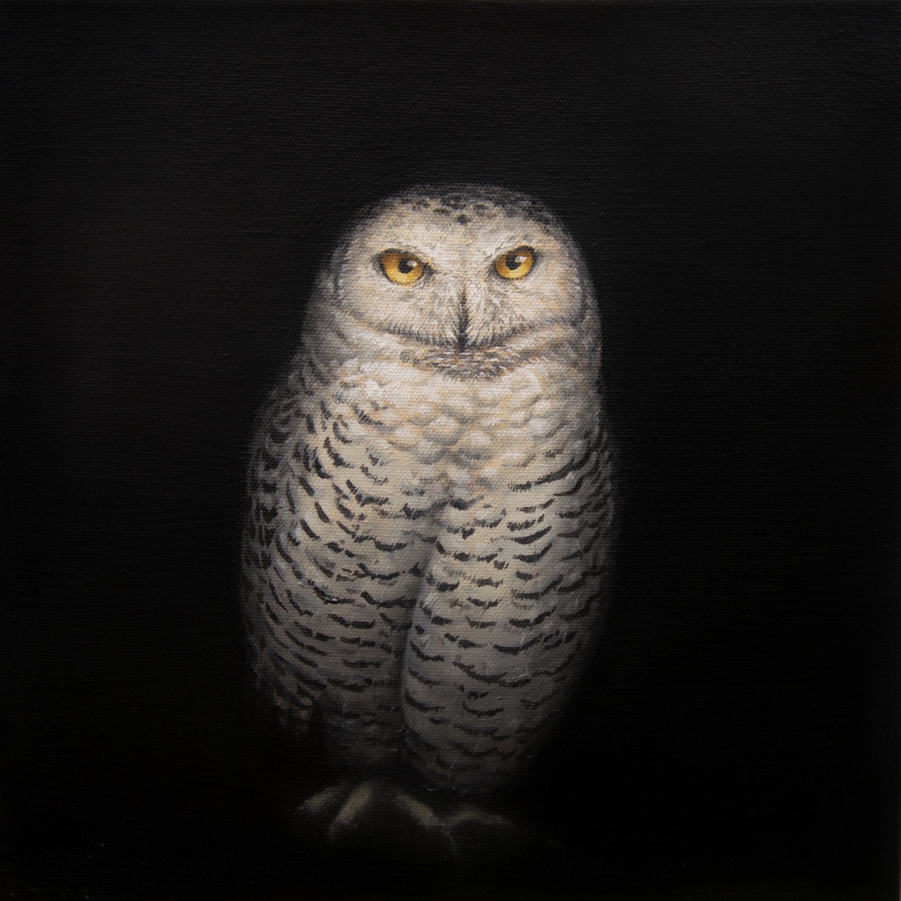 Joseph Grice – July 2022 | Roger Tory Peterson Institute