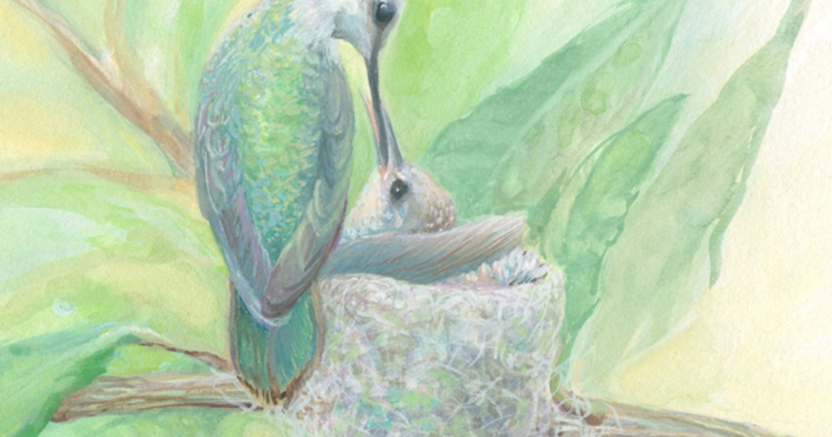 Wonders Out West: A joyful celebration of the Peterson Field Guide to ...